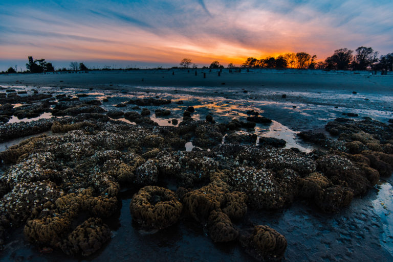 9 Best Winter Adventures in Delaware - abbyventure.com