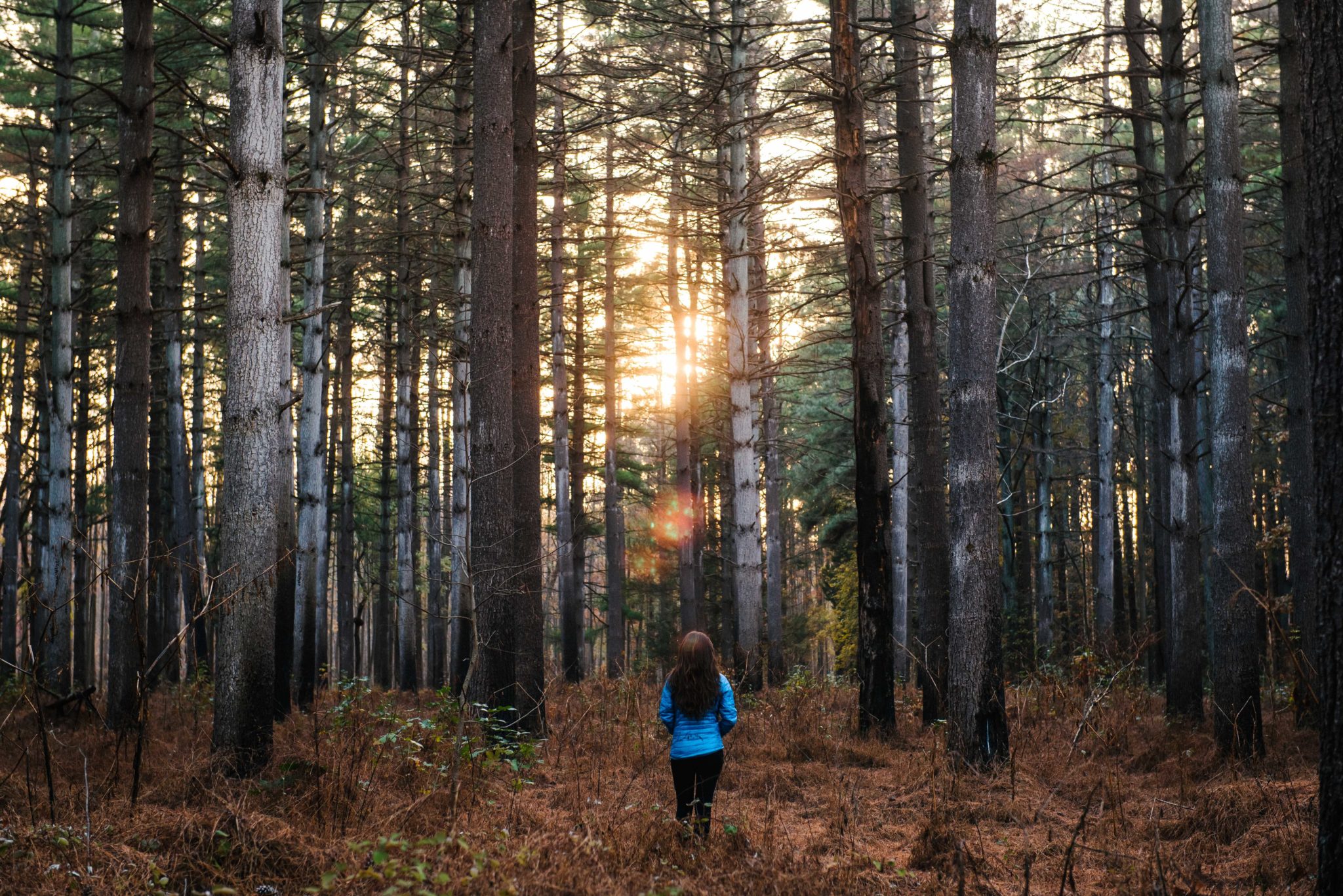 9 Best Winter Adventures in Delaware - abbyventure.com