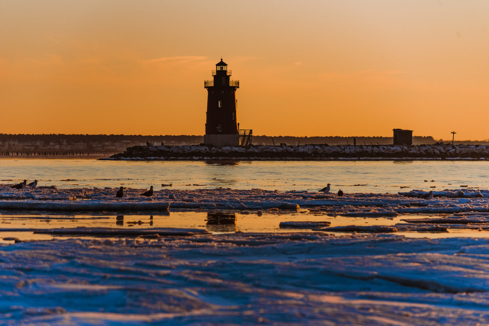 9 Best Winter Adventures in Delaware - abbyventure.com