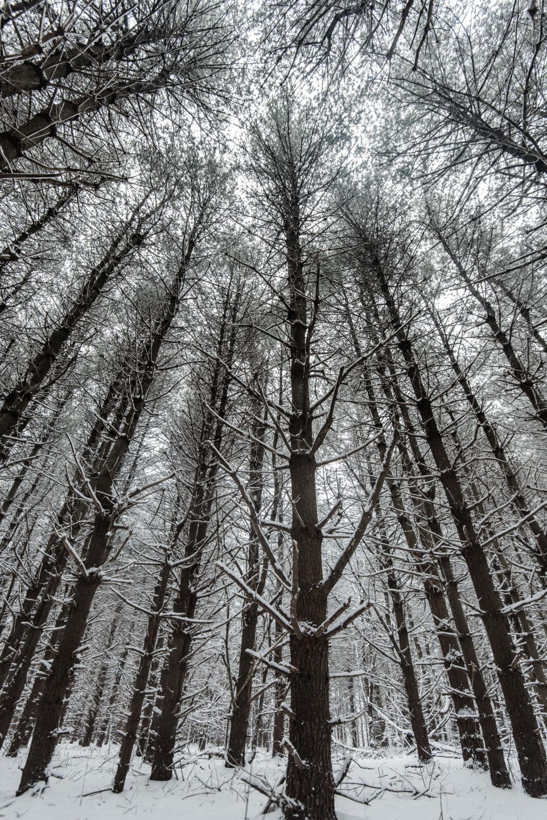 9 Best Winter Adventures in Delaware - abbyventure.com