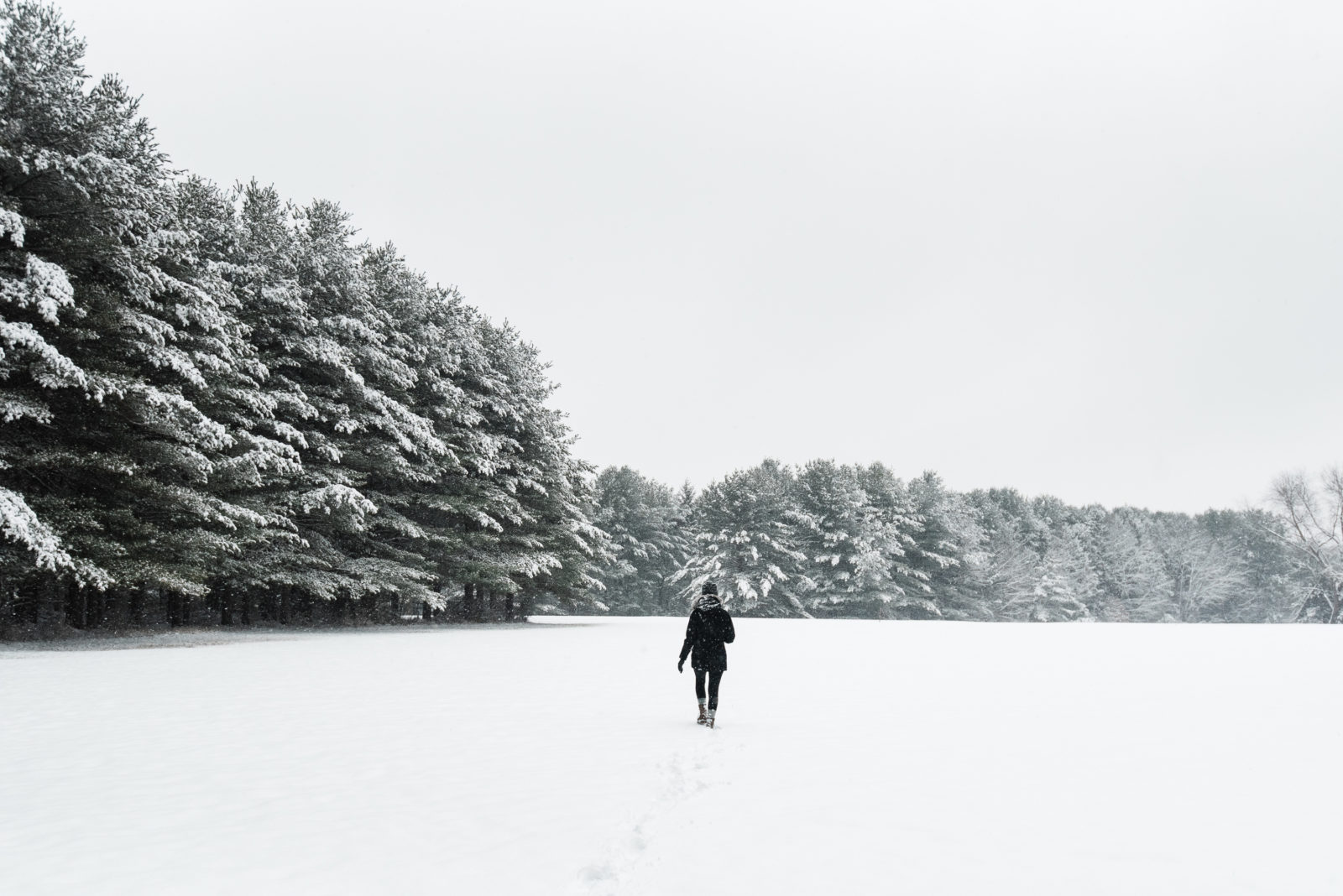 9 Best Winter Adventures in Delaware - abbyventure.com