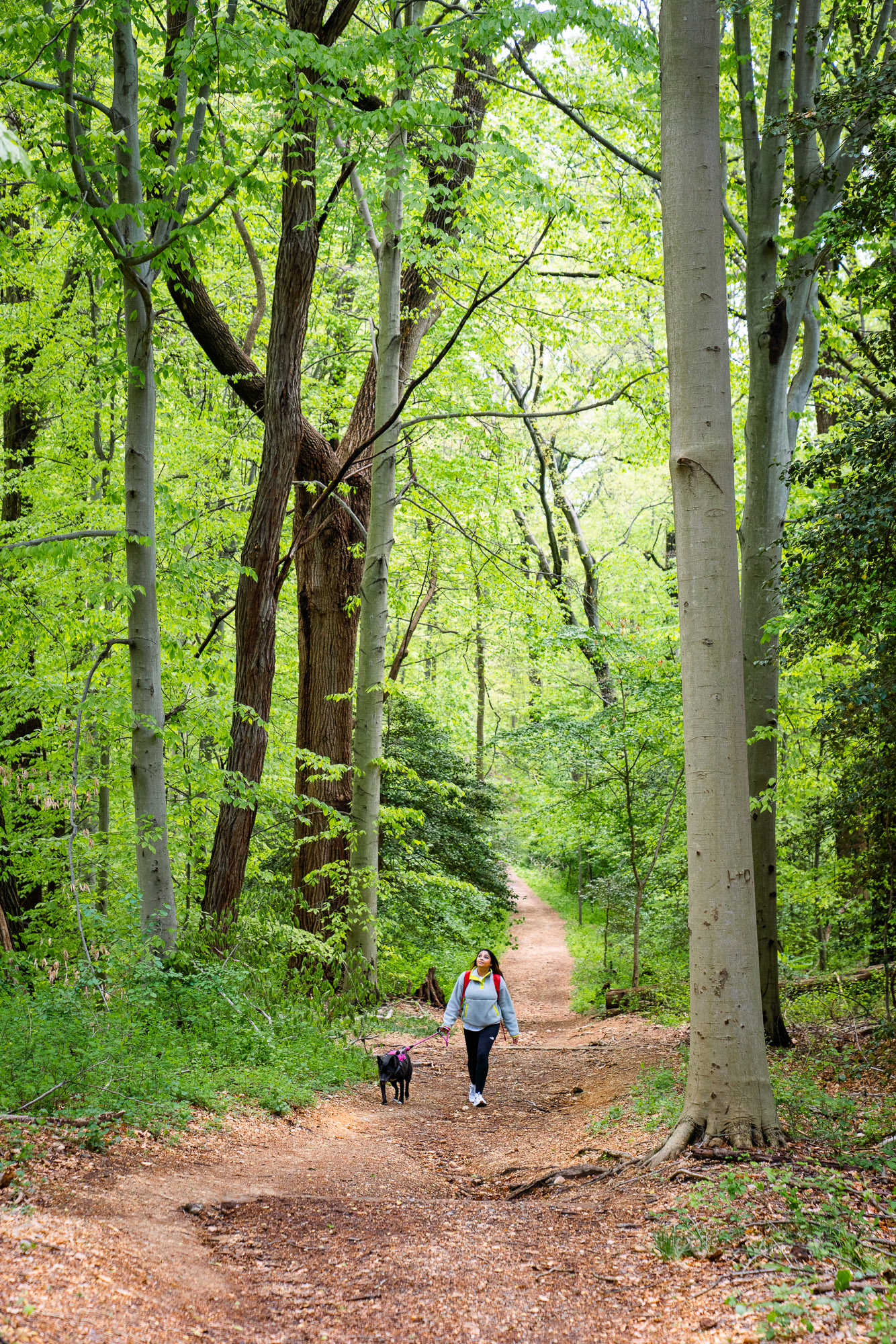 Adventure Hiking Photoshoot with The North Face - abbyventure.com